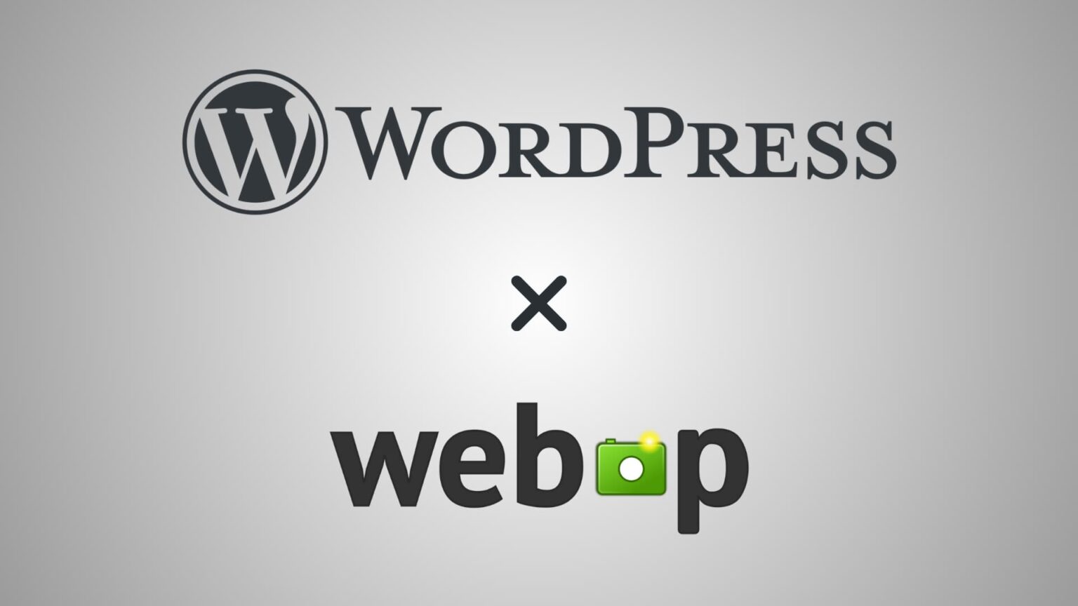 【2024年版】WordPressでWebP変換&対応させる方法 | ウェブスペ